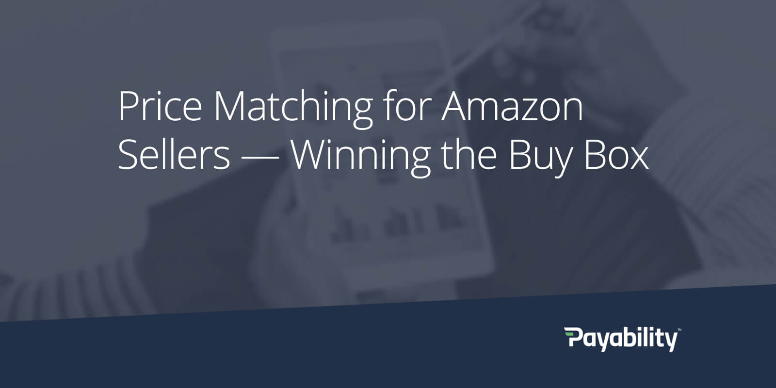 Price Matching and Winning the Buy Box for Online Sellers | Payability
