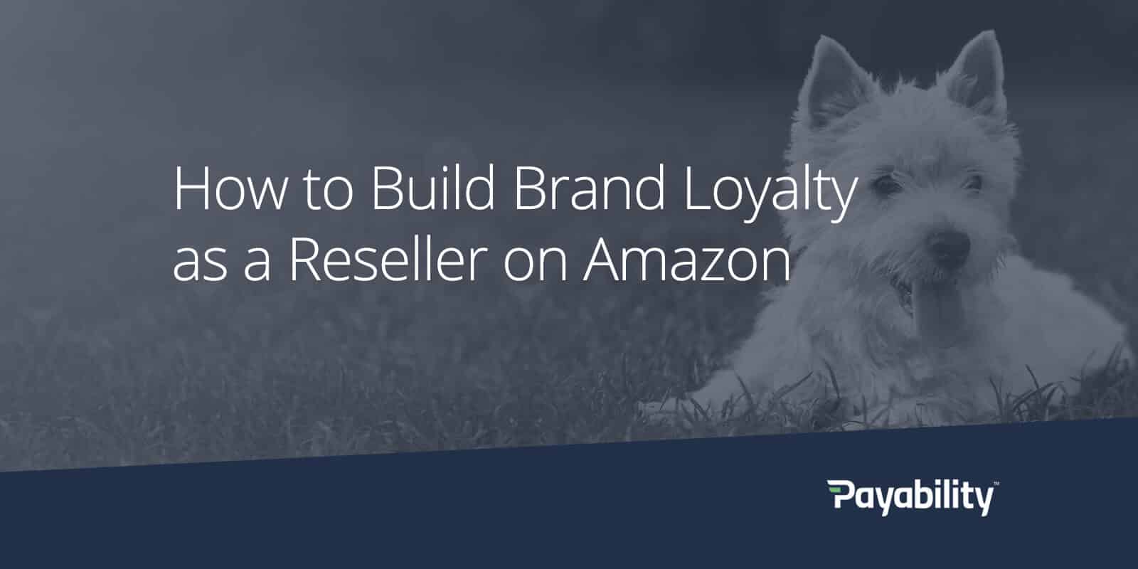 Amazon Reseller: Build Brand Loyalty on Amazon - Payability